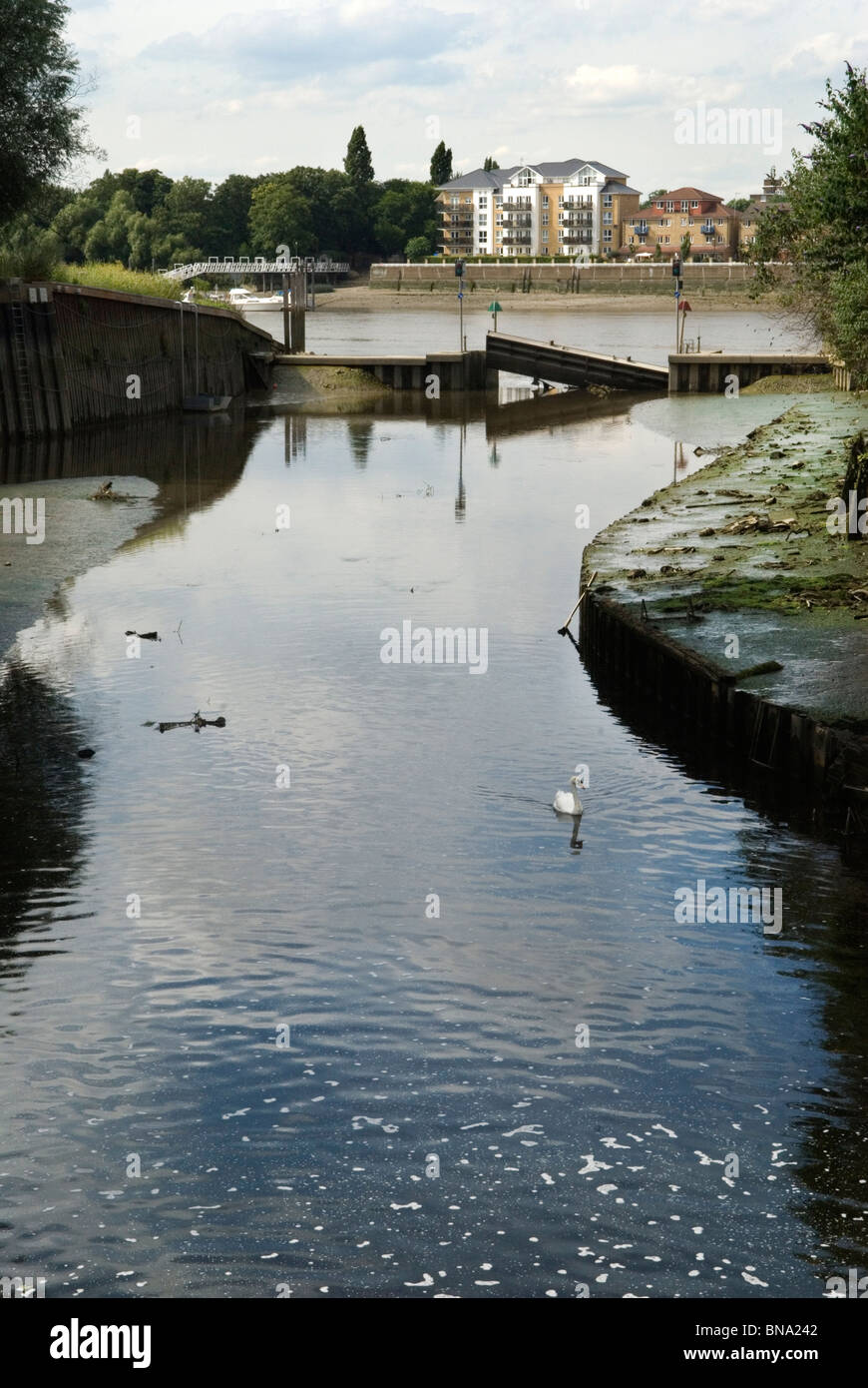 River Wandle flowing into River Thames at Wandsworth South London SW18 ...