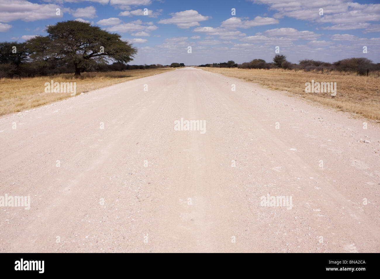 Endless road in Namibia, Africa Stock Photo - Alamy