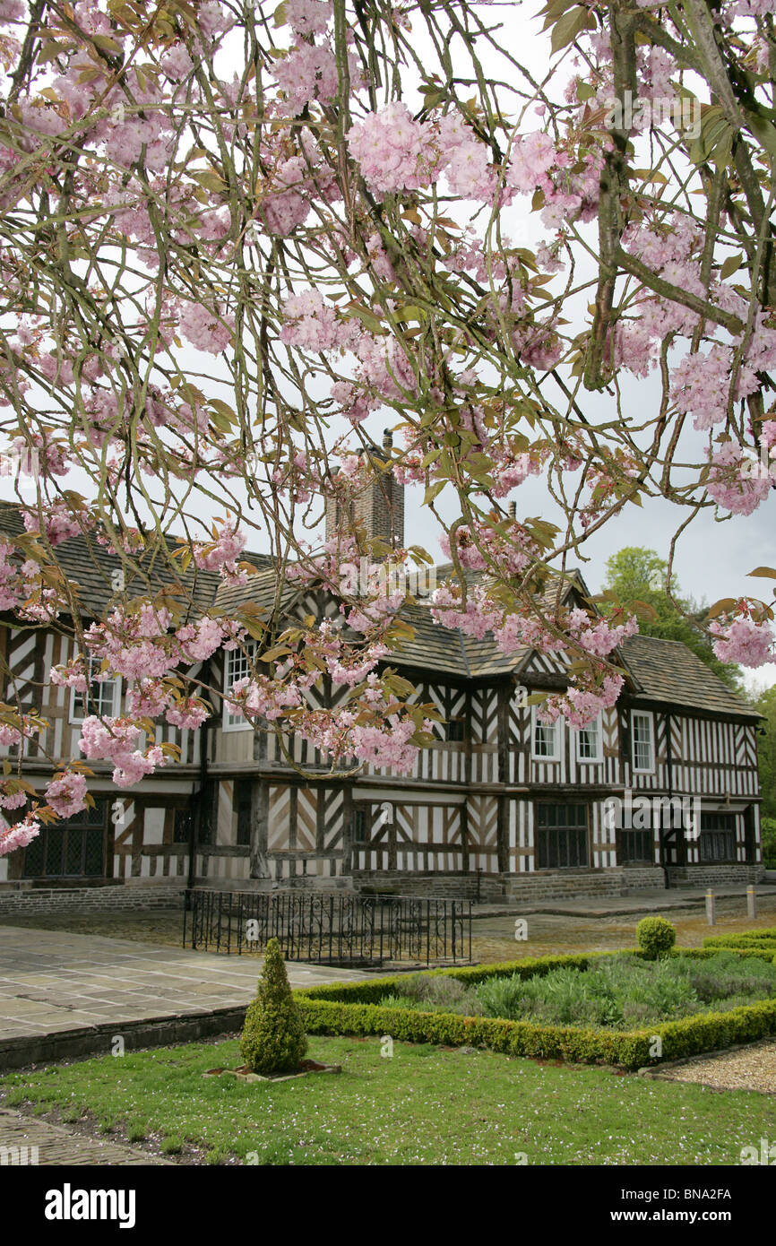 Adlington Hall & Gardens, England. Spring view of a pink cherry blossom ...