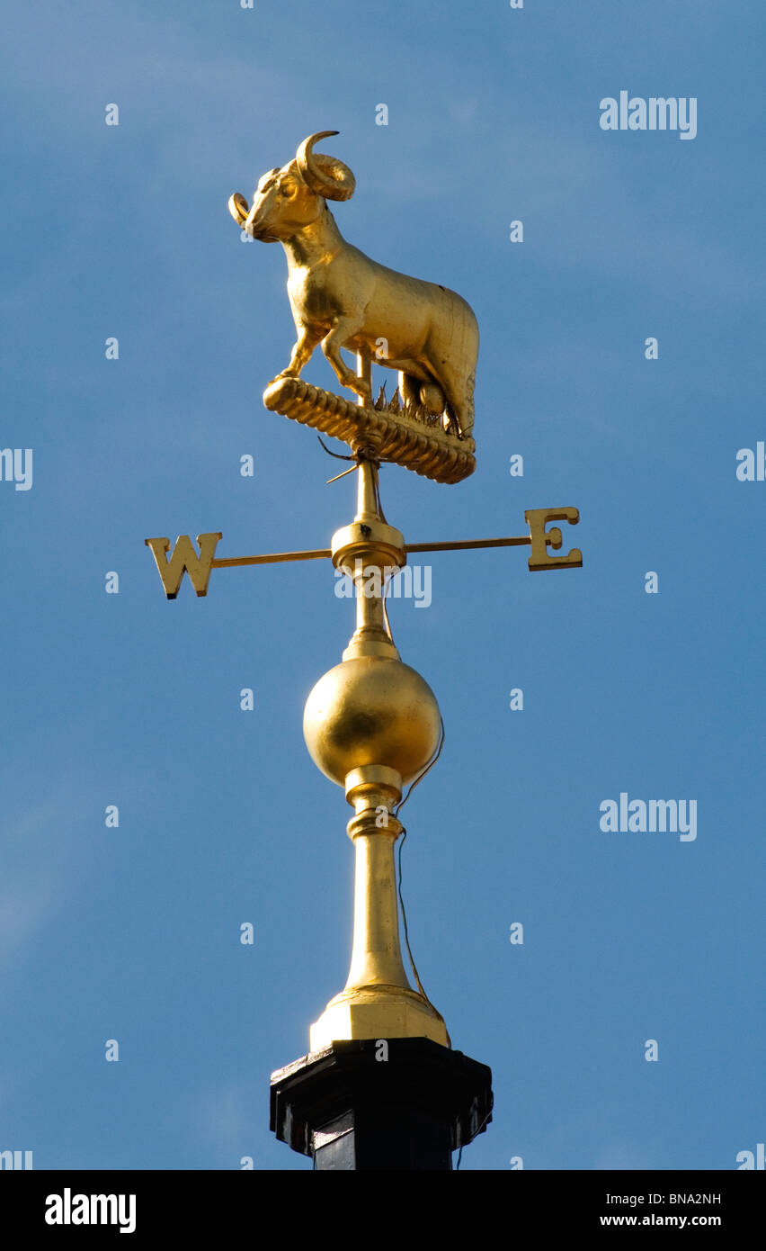 Ram london High Resolution Stock Photography and Images - Alamy
