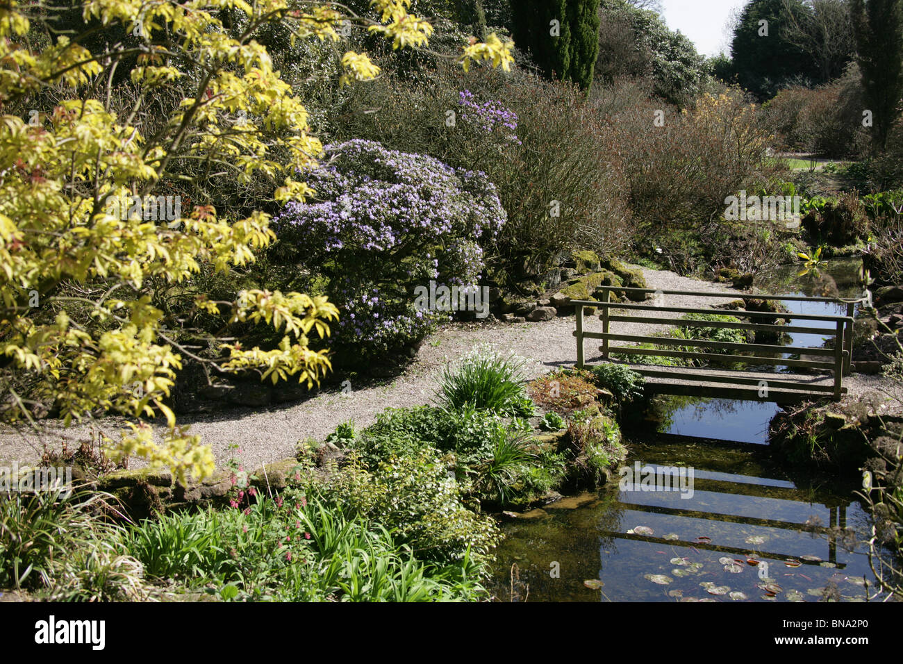 Arley Hall & Gardens, England. Spring view of the Rootree Garden at ...