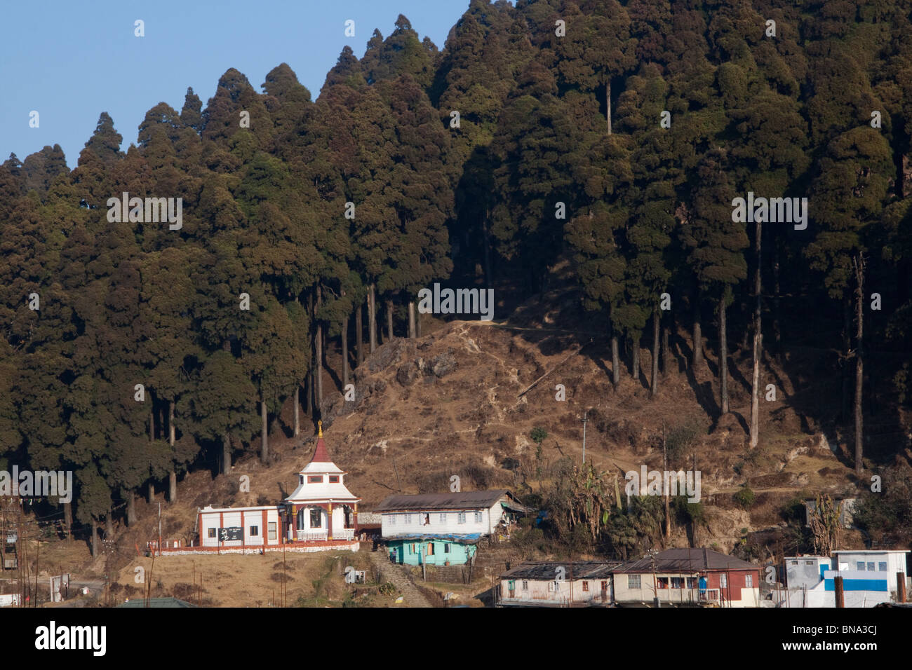 A temple nestled in pine trees in the town of 'Ghum' near Darjeeling ...