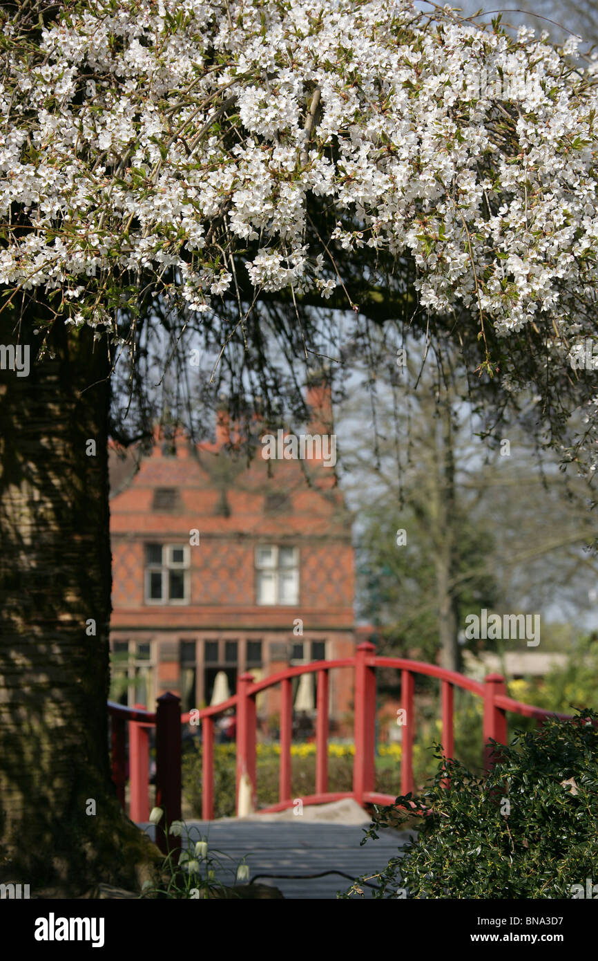 Cherry wood images hi-res stock photography and images - Alamy