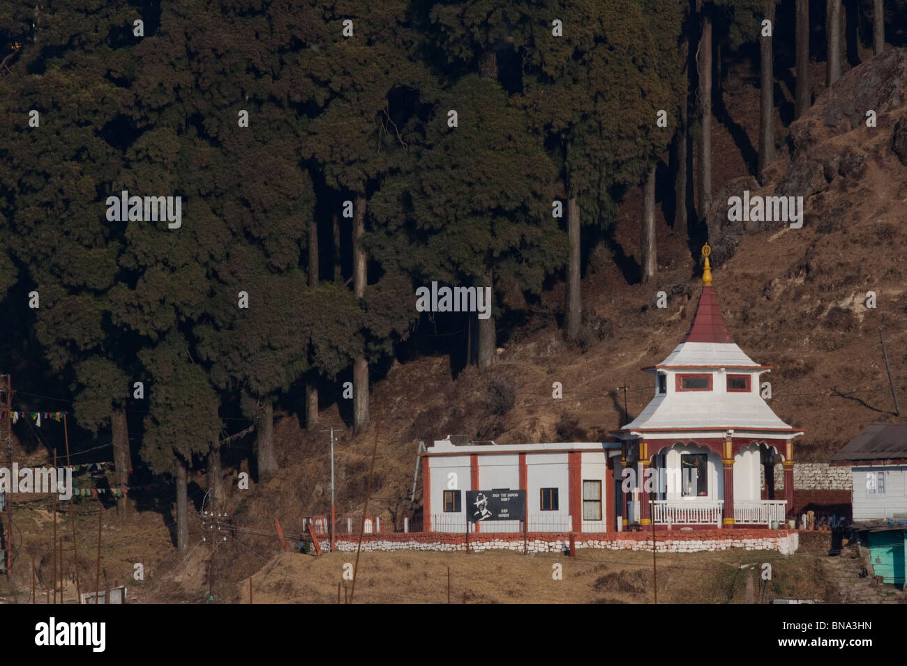 A temple nestled in pine trees in the town of 'Ghum' near Darjeeling ...