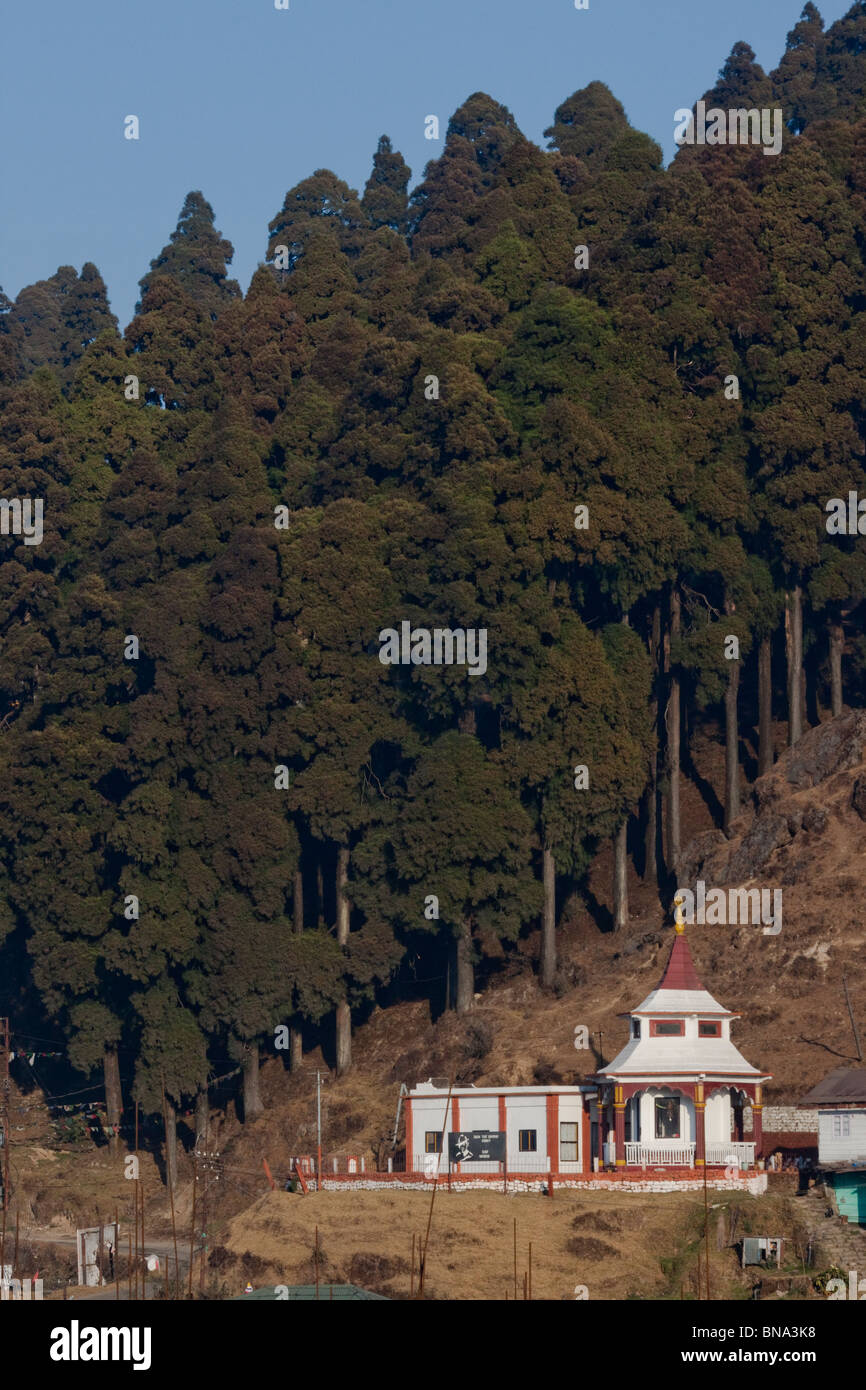 A temple nestled in pine trees in the town of 'Ghum' near Darjeeling ...