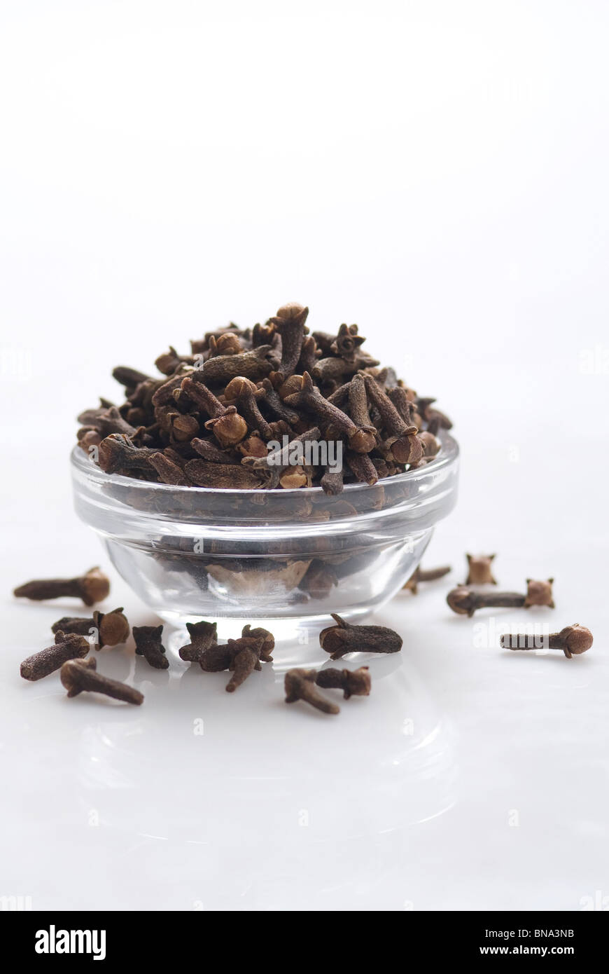 Cloves lavang hi-res stock photography and images - Alamy