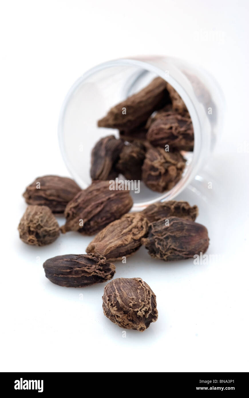 Black cardamom hi-res stock photography and images - Alamy