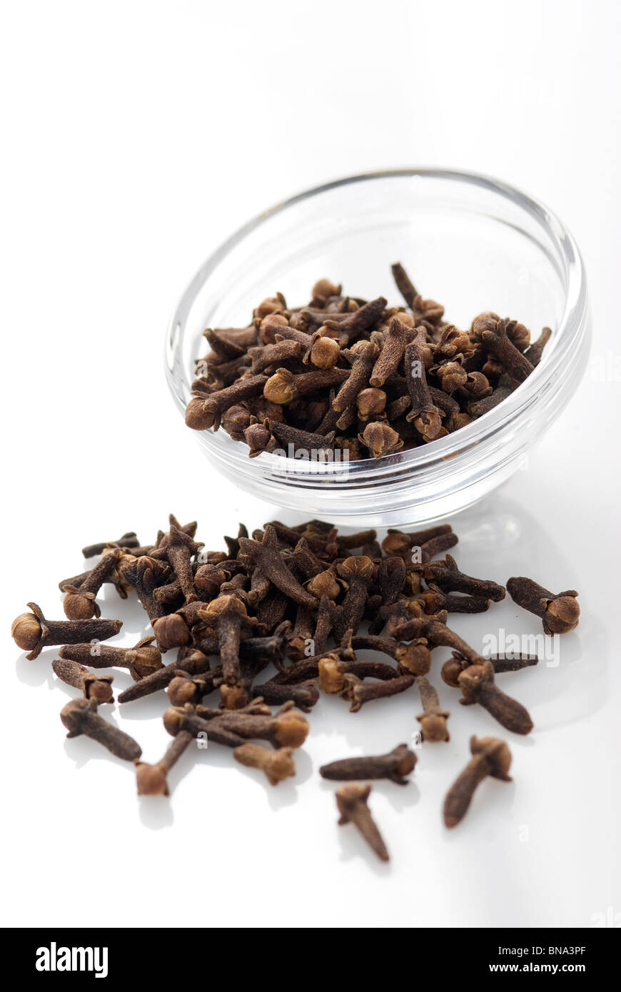 Cloves lavang hi-res stock photography and images - Alamy