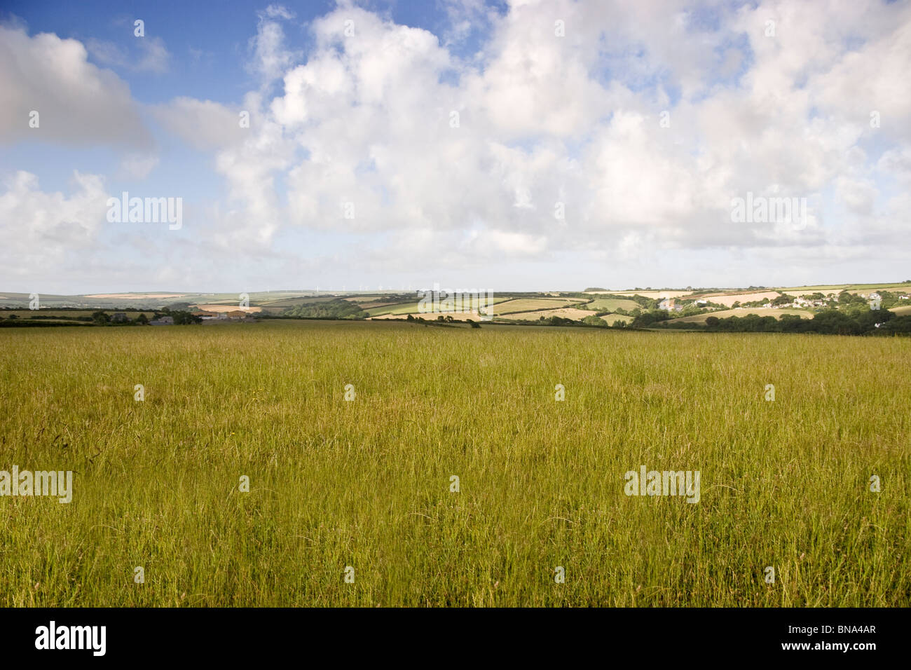 Village landscape, Cornwall, England Stock Photo - Alamy