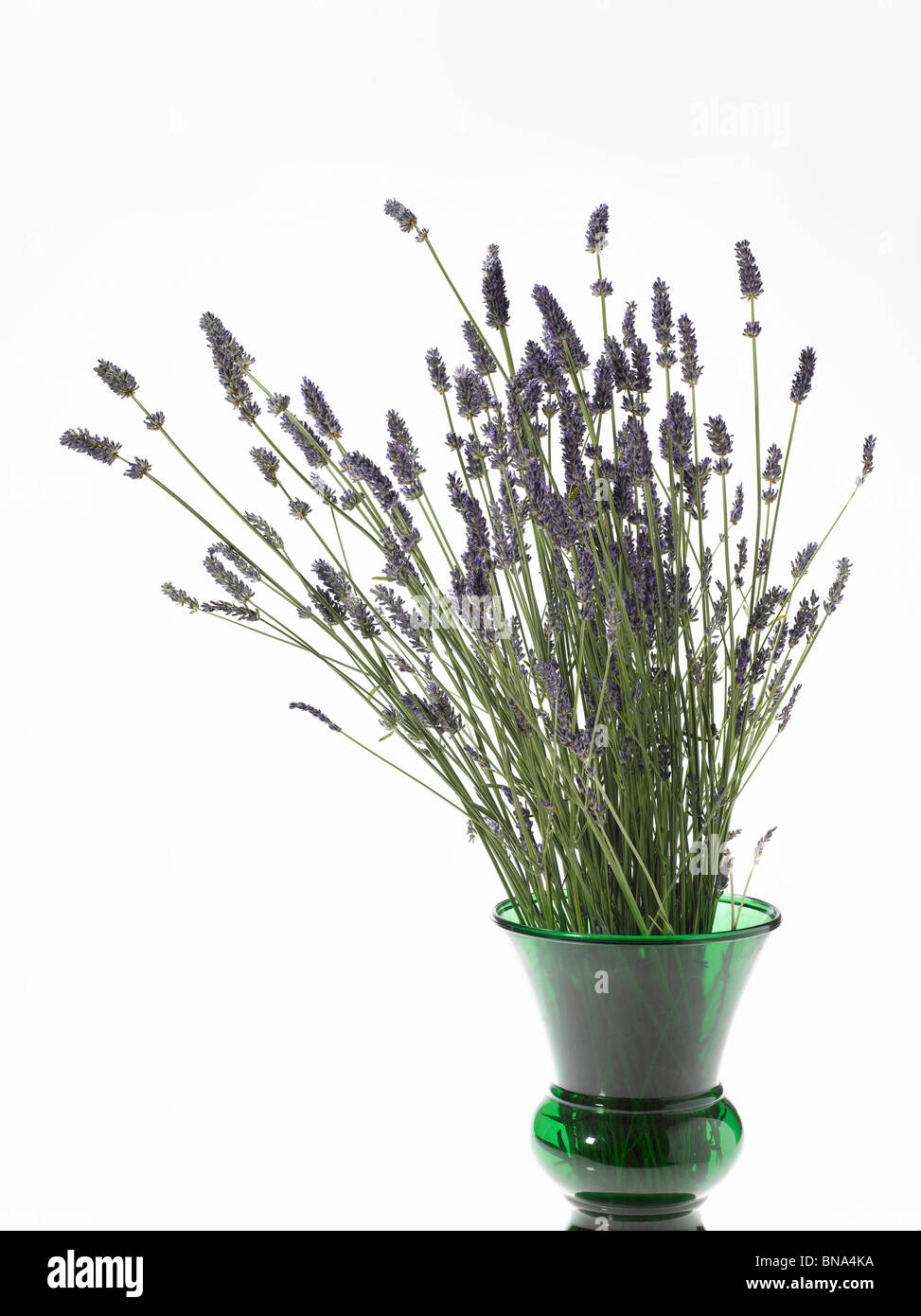 Bunches fresh purple green Cut Out Stock Images & Pictures - Alamy