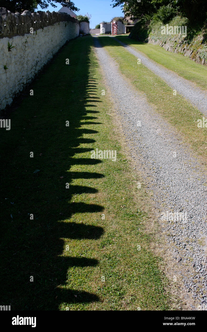 path shadows farm road lane Stock Photo - Alamy