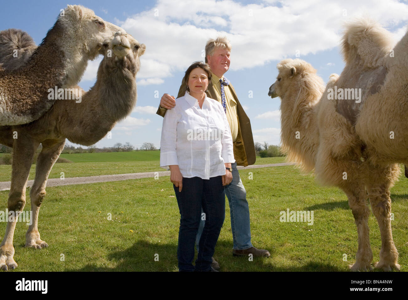 Joseph and Rebecca Fossett with some of the Camels they own on their ...
