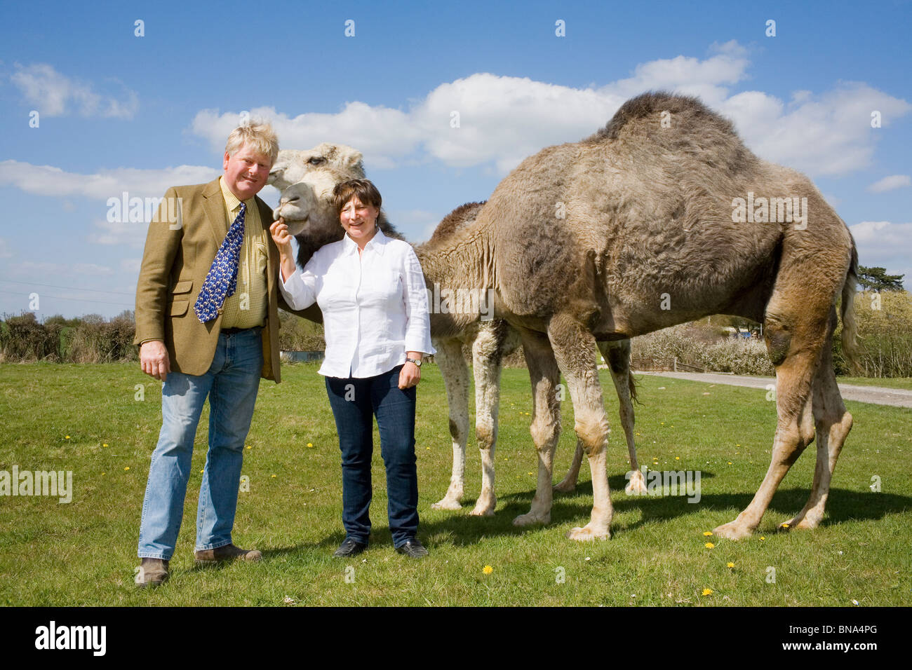 Joseph and Rebecca Fossett with some of the Camels they own on their ...