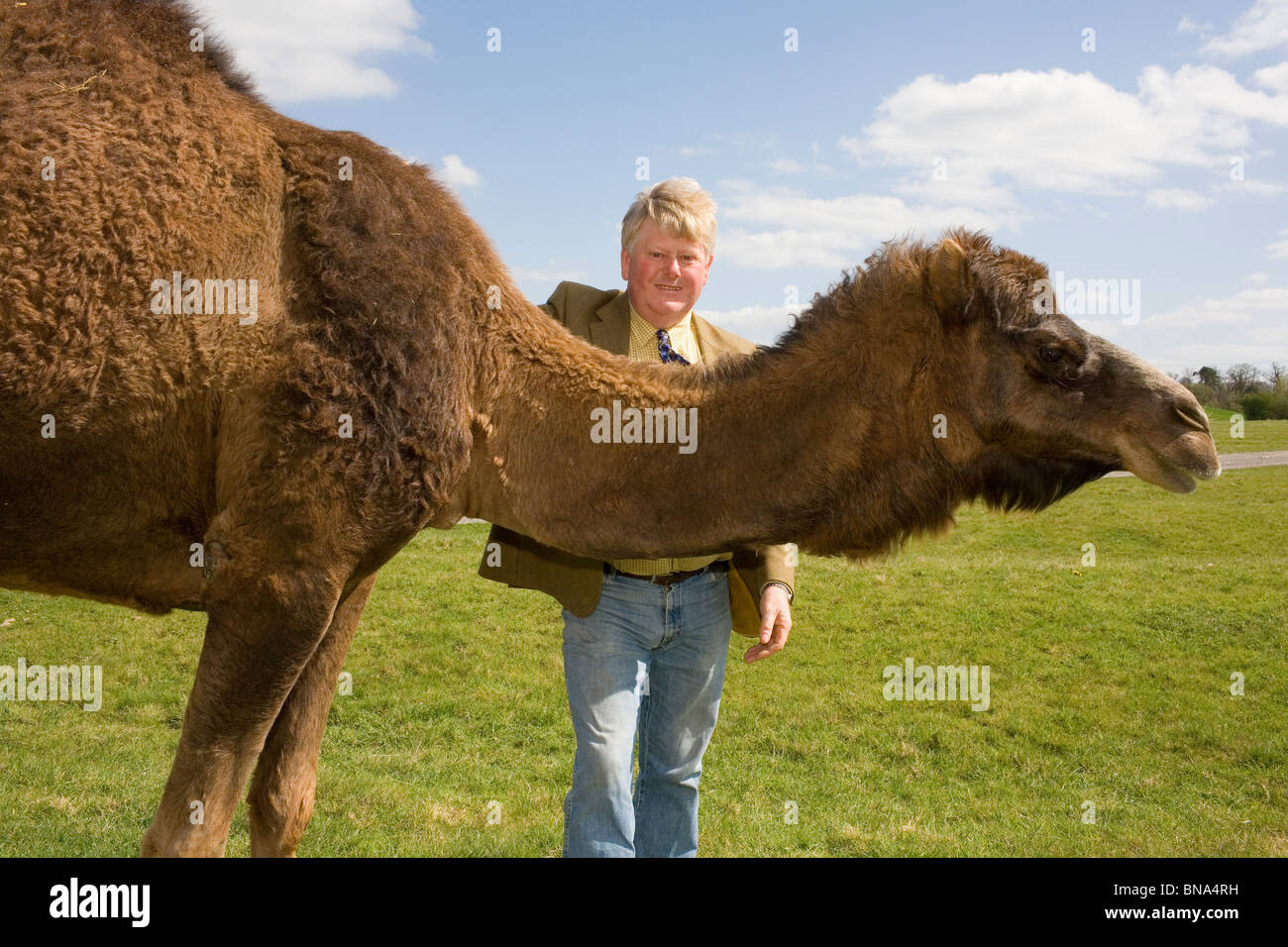 Joseph Fosset with Camels he owns on hi Warwickshire farm. Fossett ...