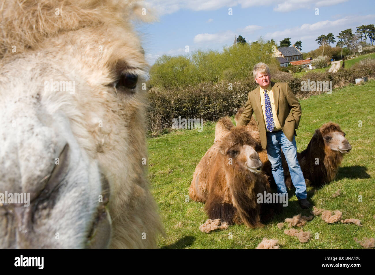 Fosset hi-res stock photography and images - Alamy