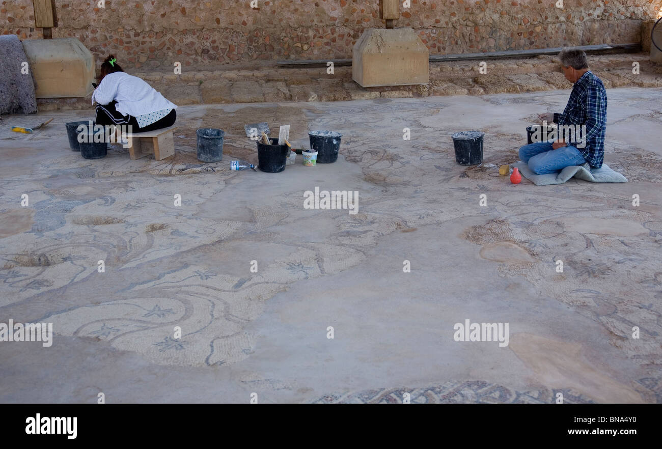 Preserving the mosaics at Caesarea, "Ibexes Mosaic hall" - Israel Stock ...