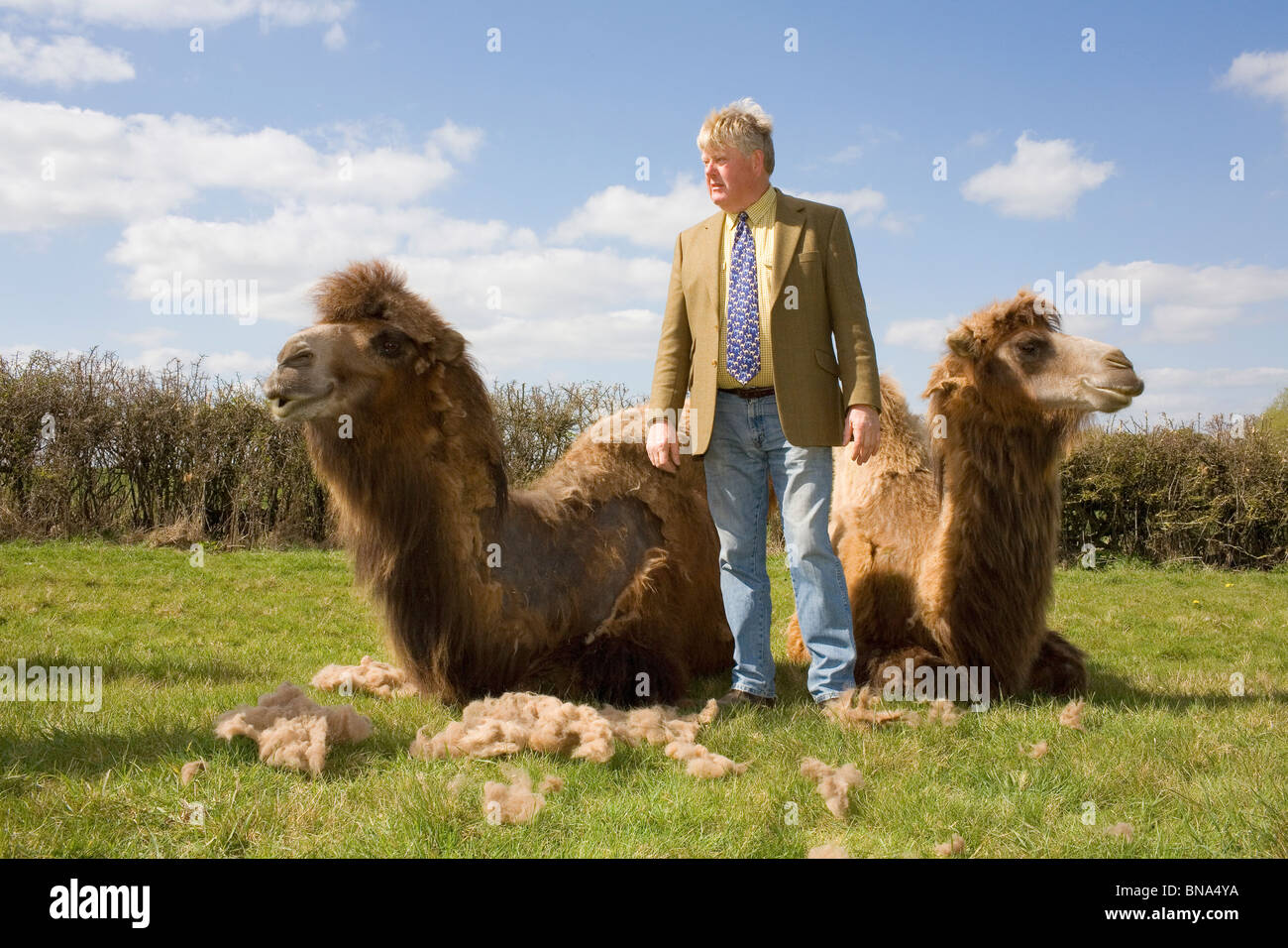 Fosset hi-res stock photography and images - Alamy