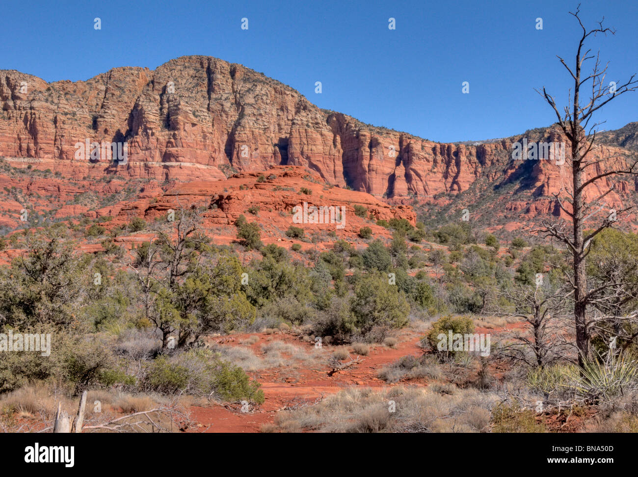 Red Rock Country around Sedona Arizona Stock Photo - Alamy
