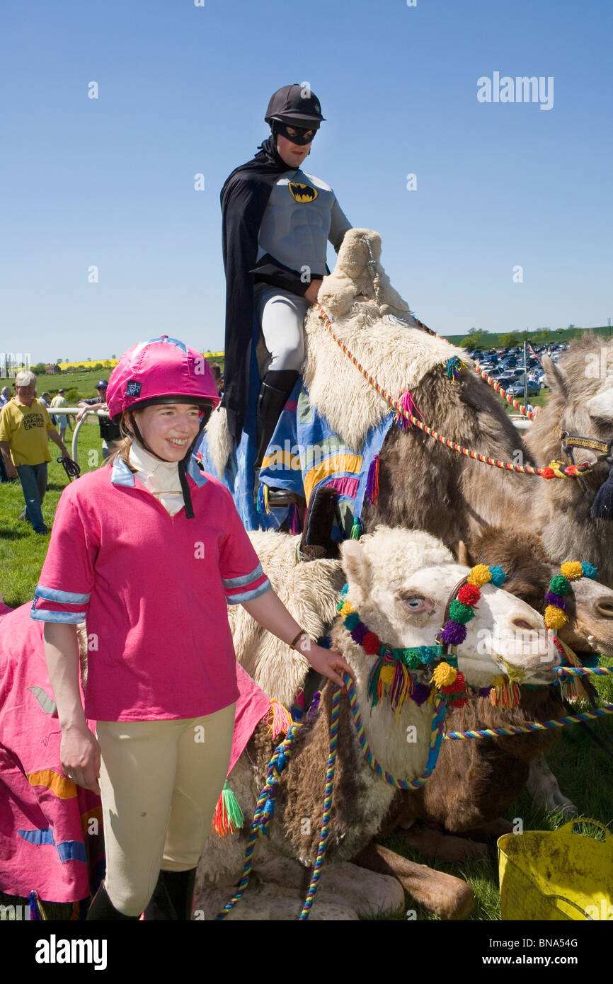 A man dressed as the Superhero Batman sits on a camel Stock Photo - Alamy
