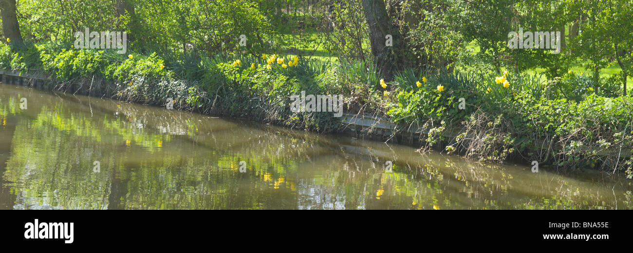 river bank with plants and vegetation Stock Photo - Alamy