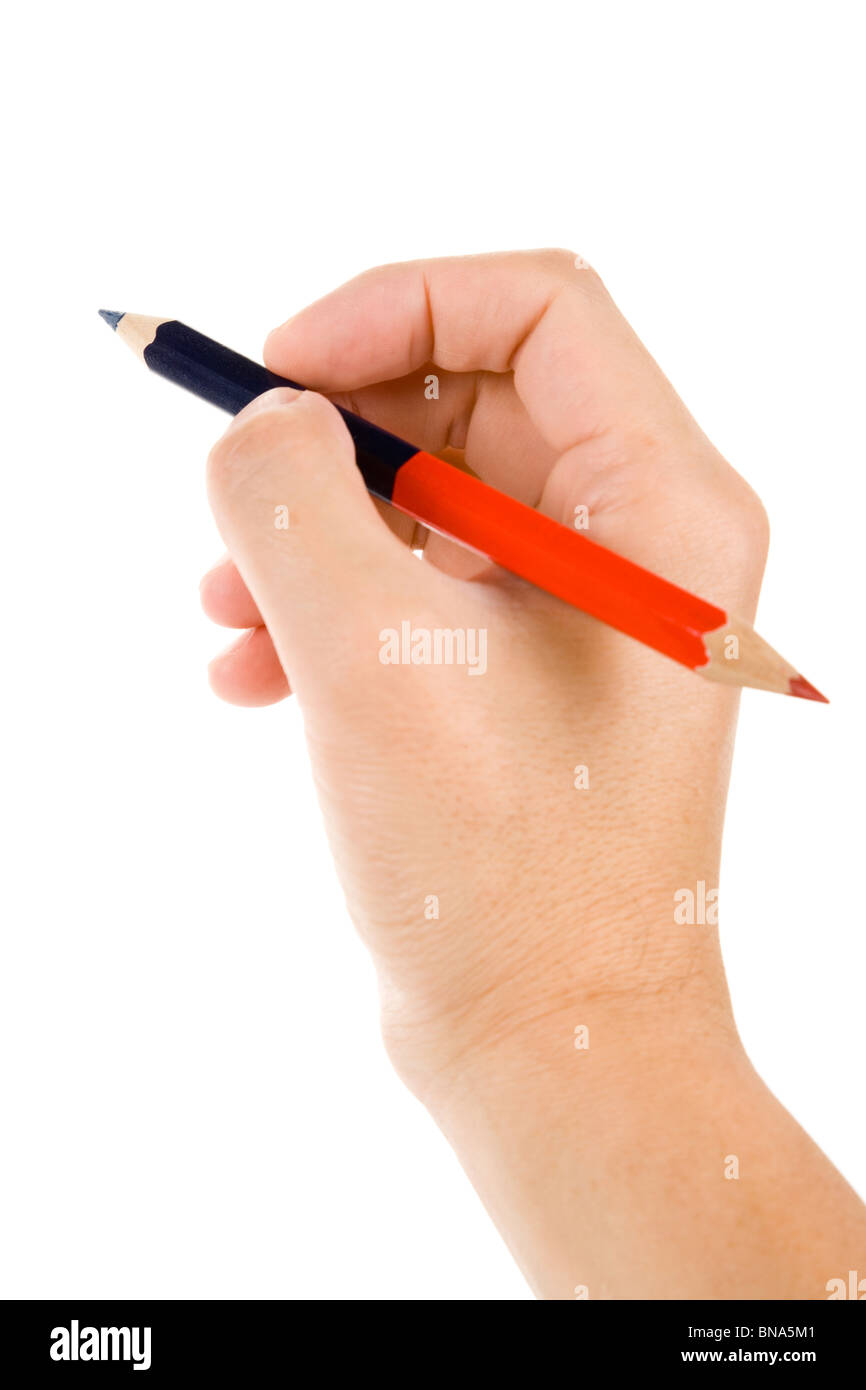 hand holding a red and blue pencil with white background Stock Photo ...