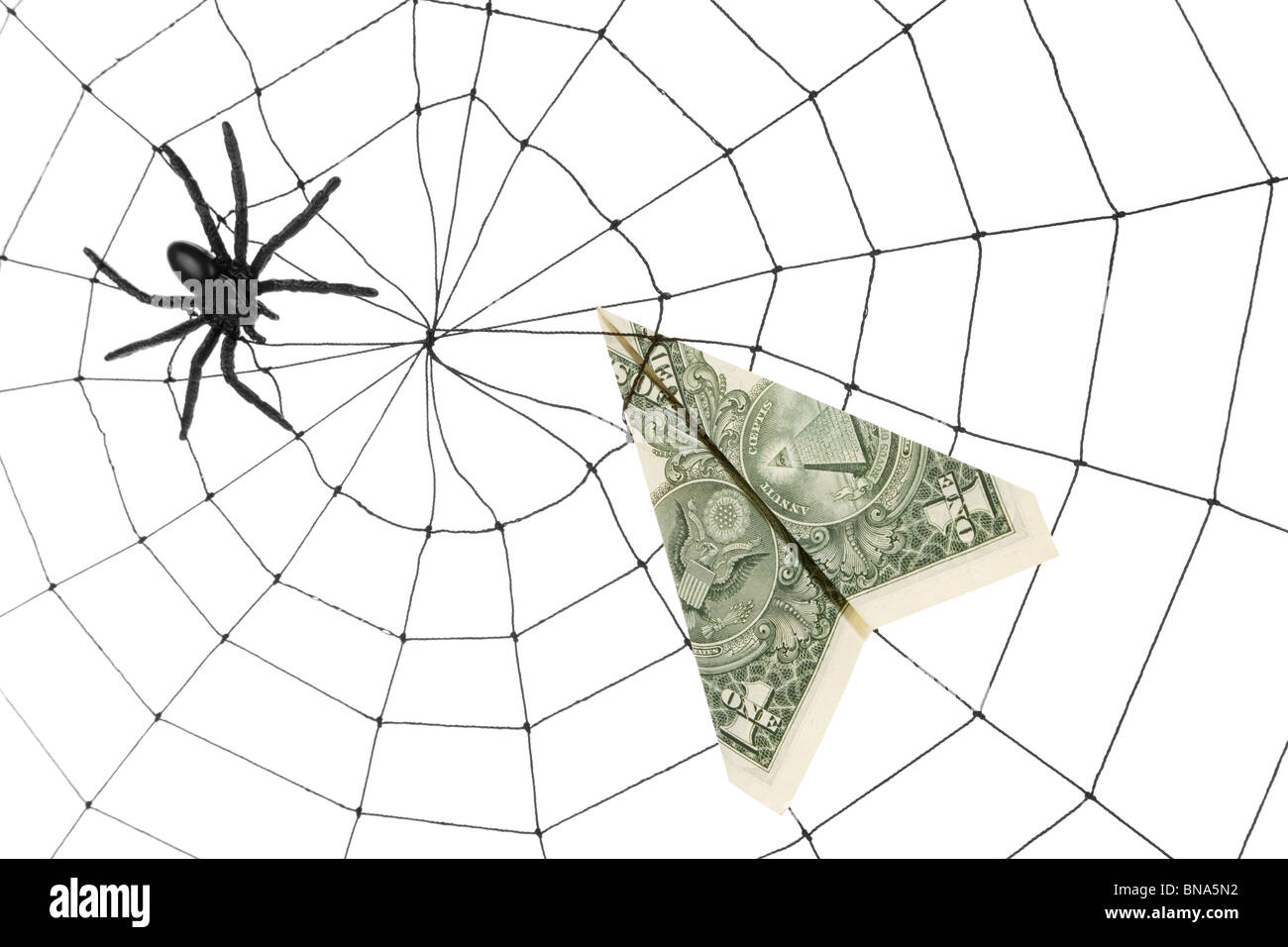 Spider Web and dollar, business concept Stock Photo - Alamy