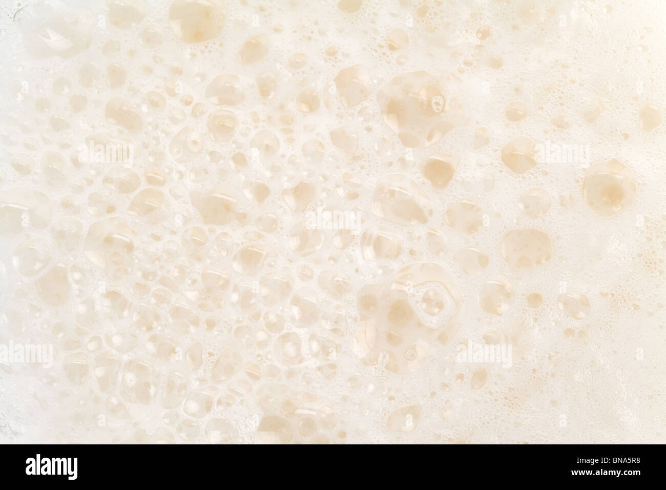 Beer Froth close up shot for background use Stock Photo - Alamy