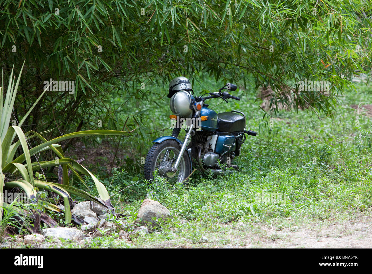 Motorbike tree hi-res stock photography and images - Alamy
