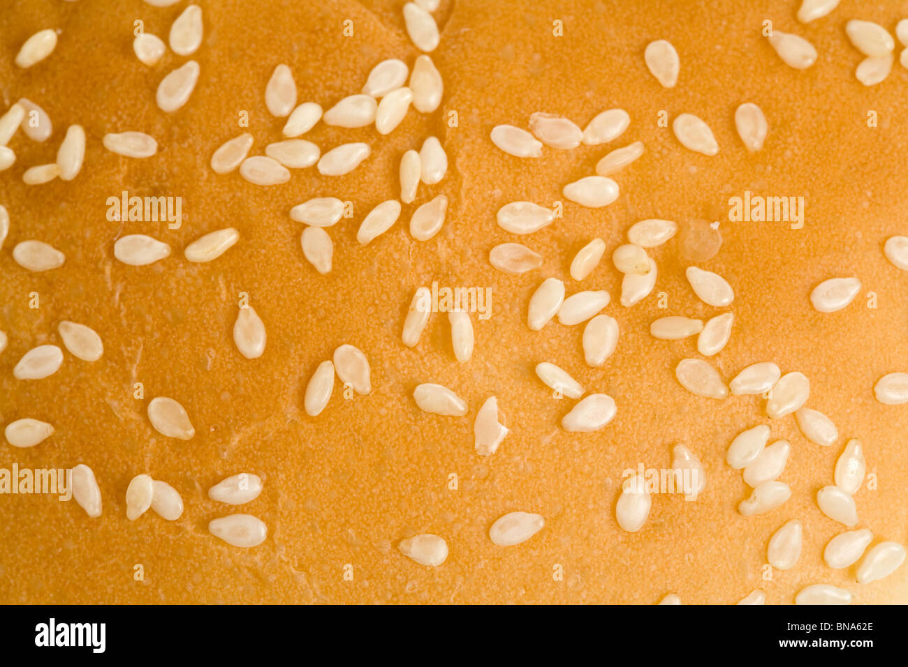 Burger texture hi-res stock photography and images - Alamy