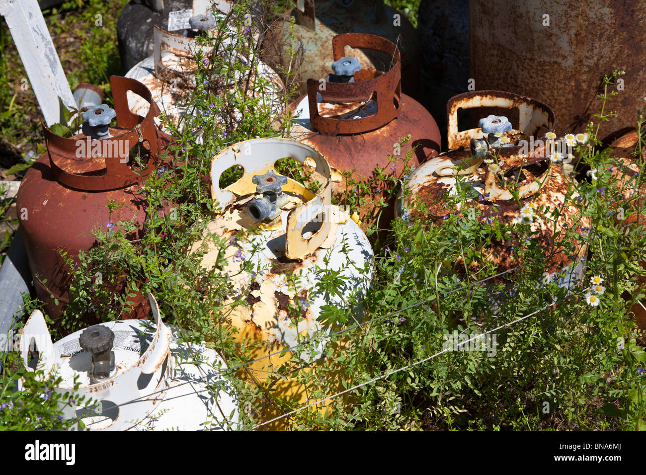 Gas tank overgrown hi-res stock photography and images - Alamy