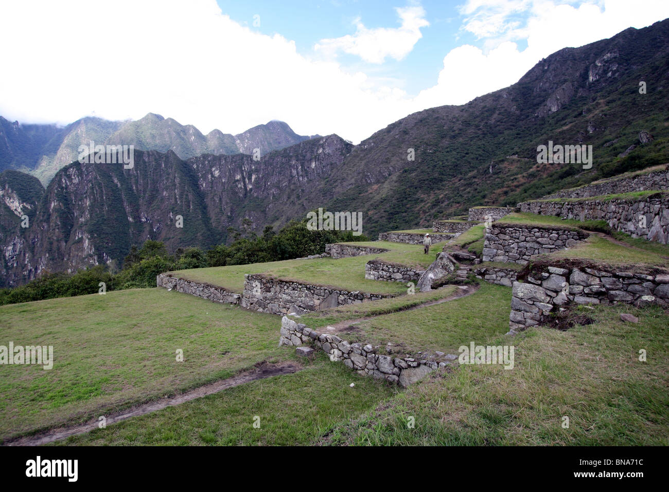 Terraces Machu Picchu, Peru, South America Stock Photo - Alamy