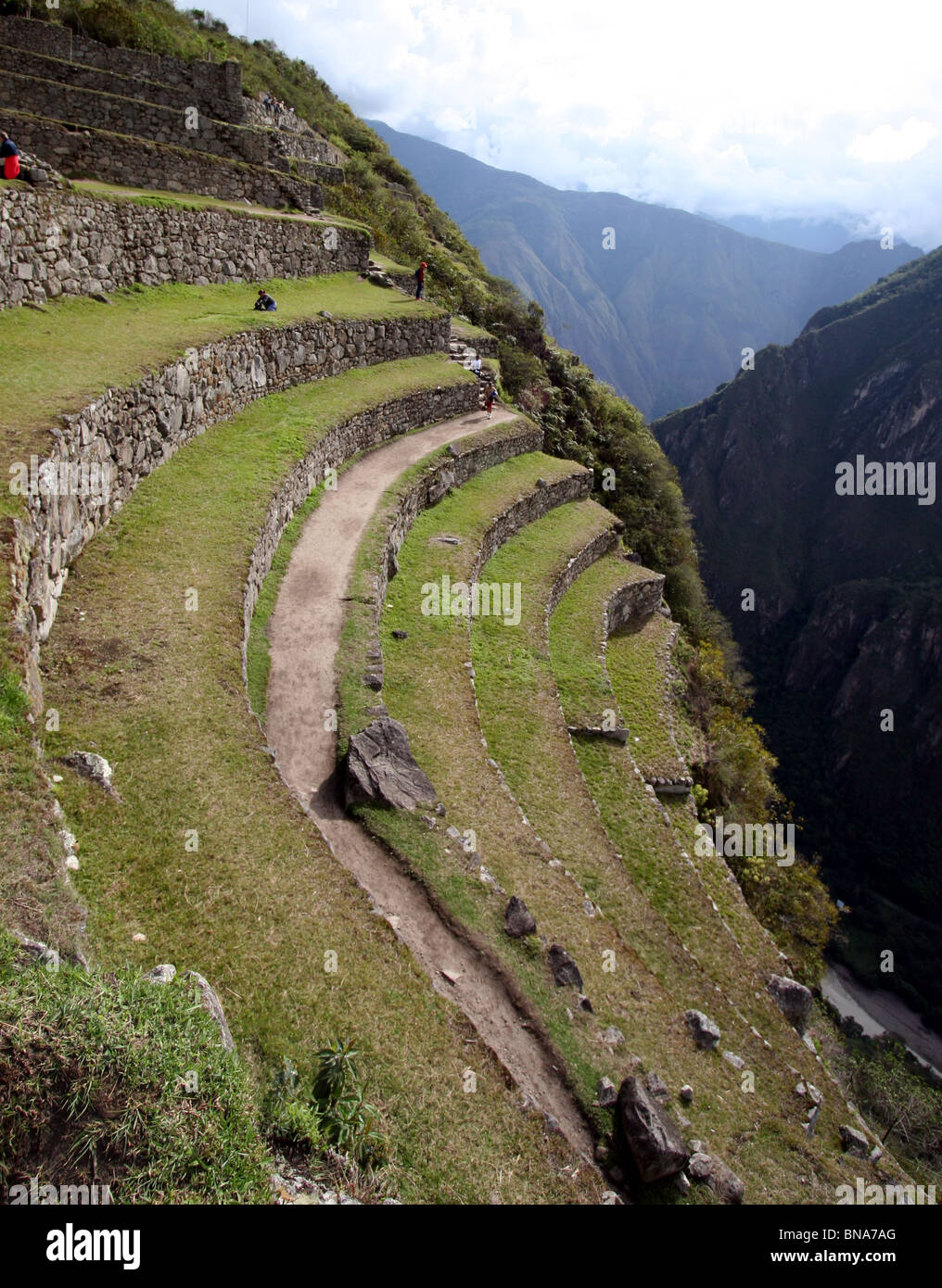 Terraces Machu Picchu, Peru, South America Stock Photo - Alamy