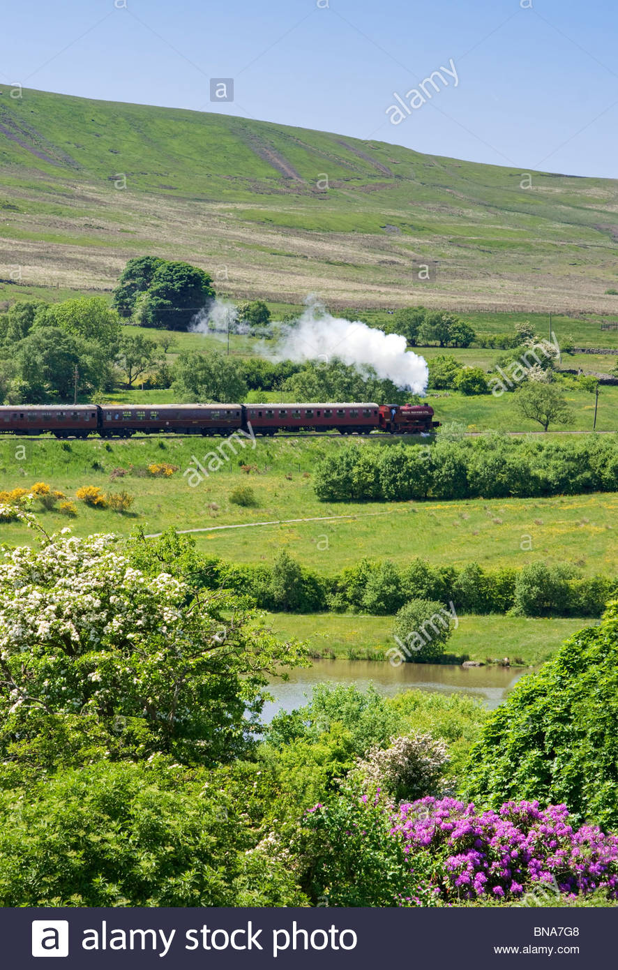 Steam Train In Countryside High Resolution Stock Photography and Images ...