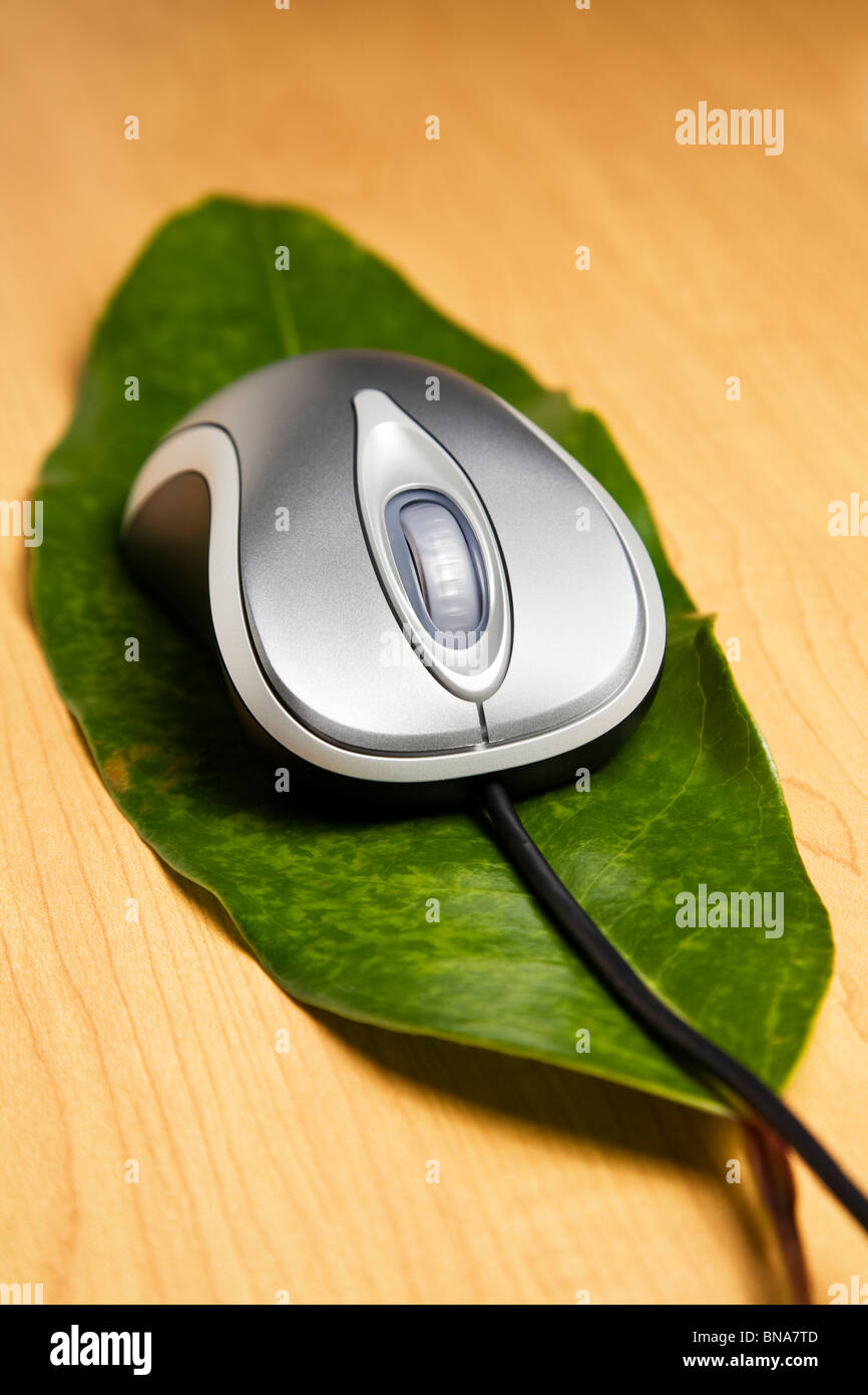 Computer mouse on a leaf Stock Photo - Alamy