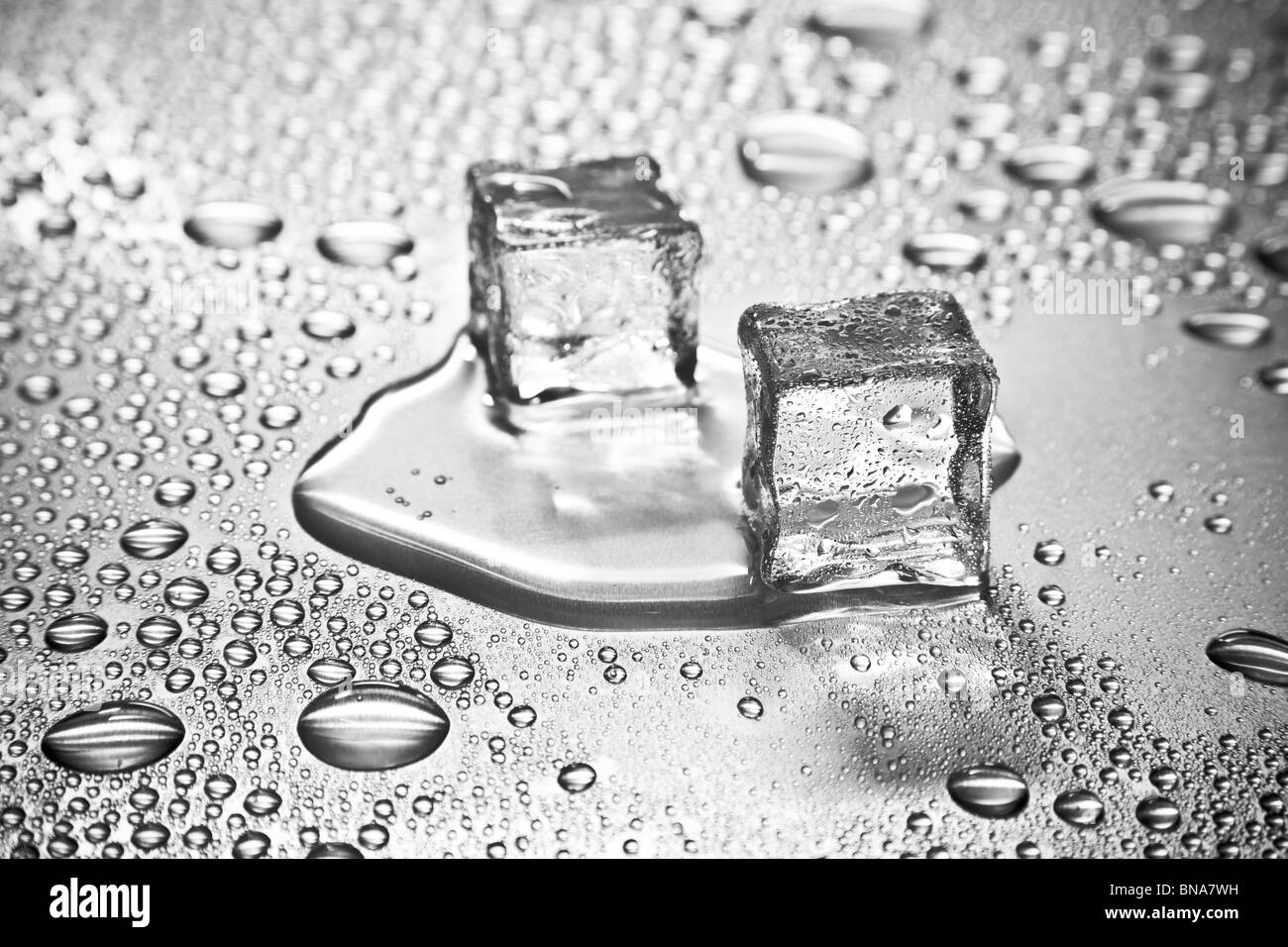 Ice Cube Melting Black And White