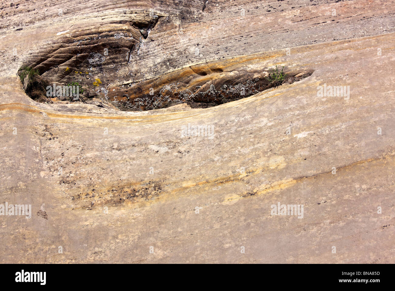 hanging garden in the cliff Stock Photo - Alamy