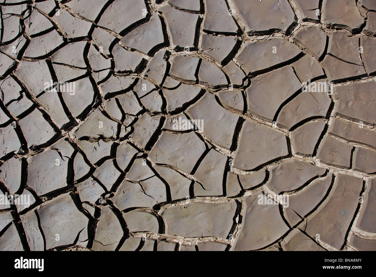 Desicated - Dried up water sources can leave interesting mosaic designs ...