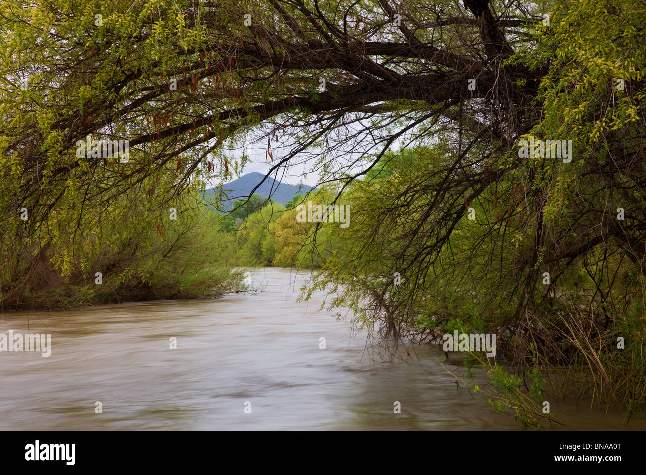 Verde river arizona hi-res stock photography and images - Alamy