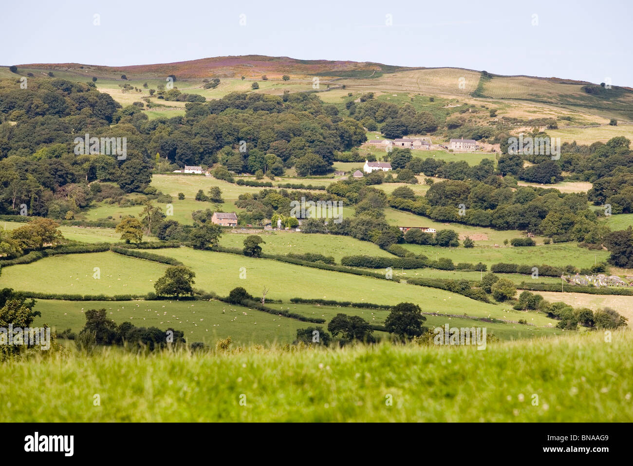 Rowen wales hi-res stock photography and images - Alamy