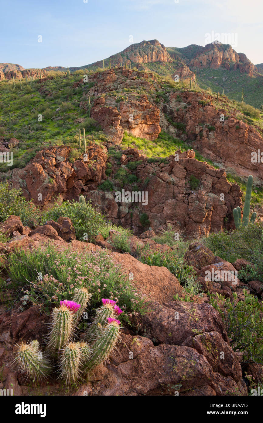 Superstition Mountains along the Apache Trail, Tonto National Forest ...