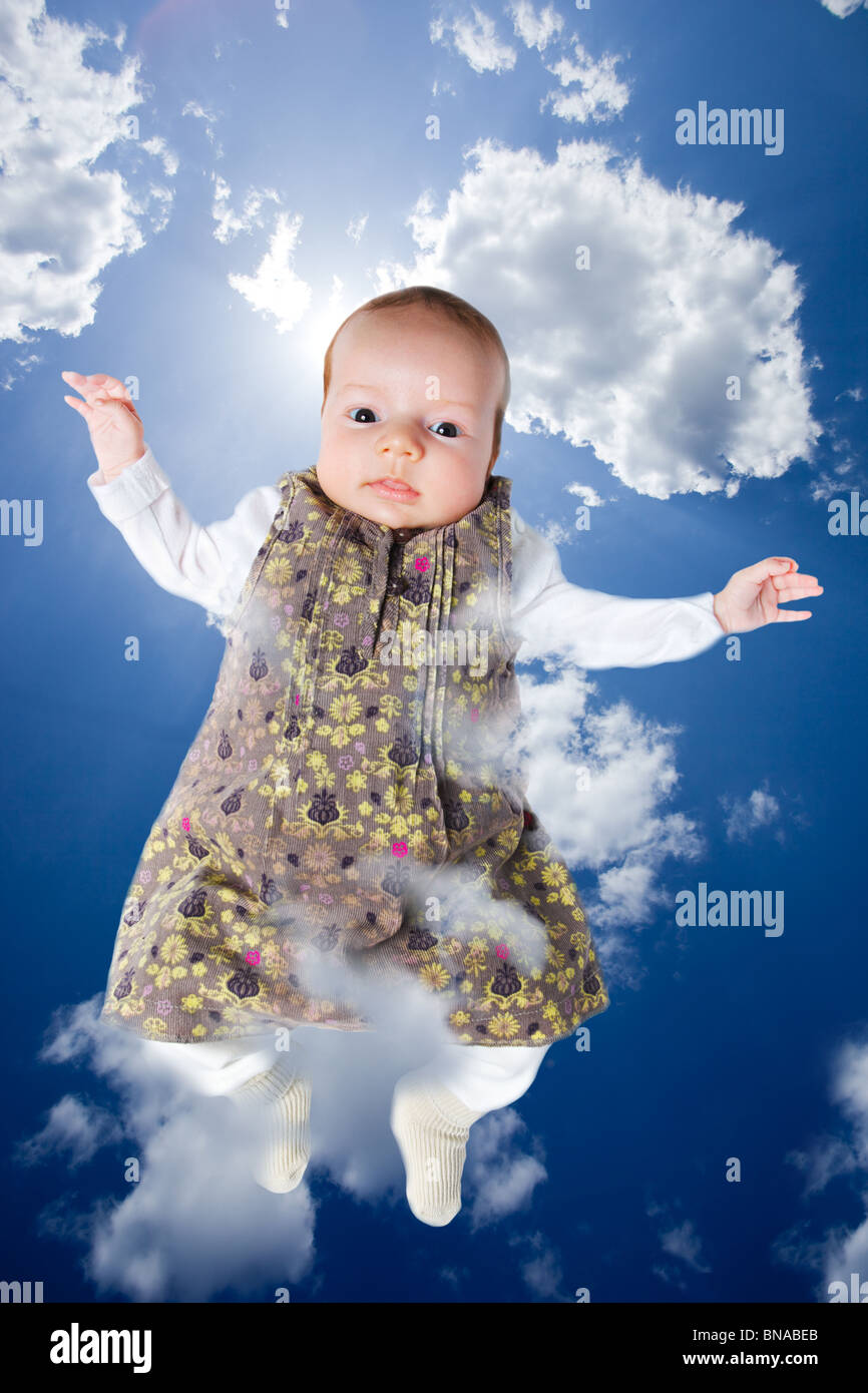 The baby fly in front of blue sky Stock Photo - Alamy