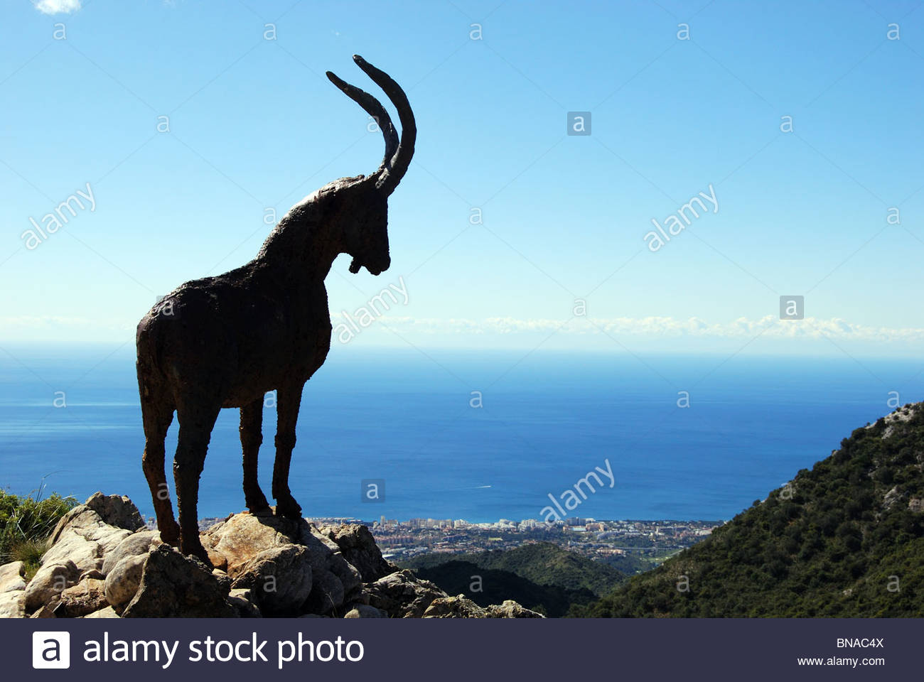 Spanish Wild Goats Stock Photos & Spanish Wild Goats Stock Images - Alamy