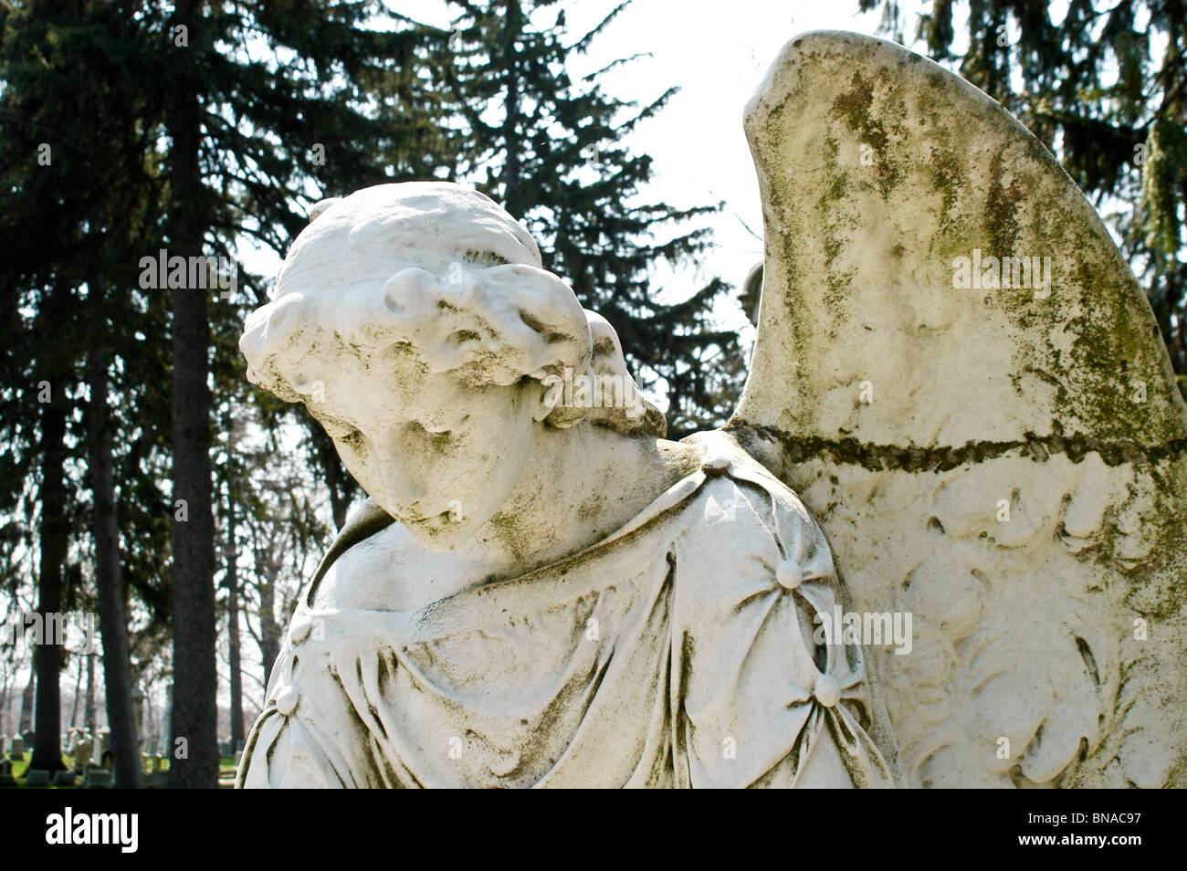 angel in the graveyard Stock Photo - Alamy