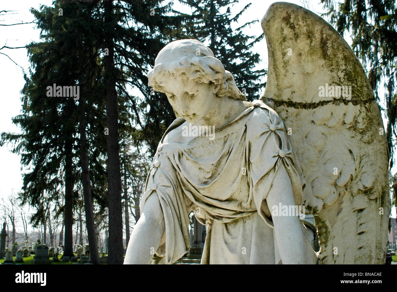 angel in the graveyard Stock Photo - Alamy