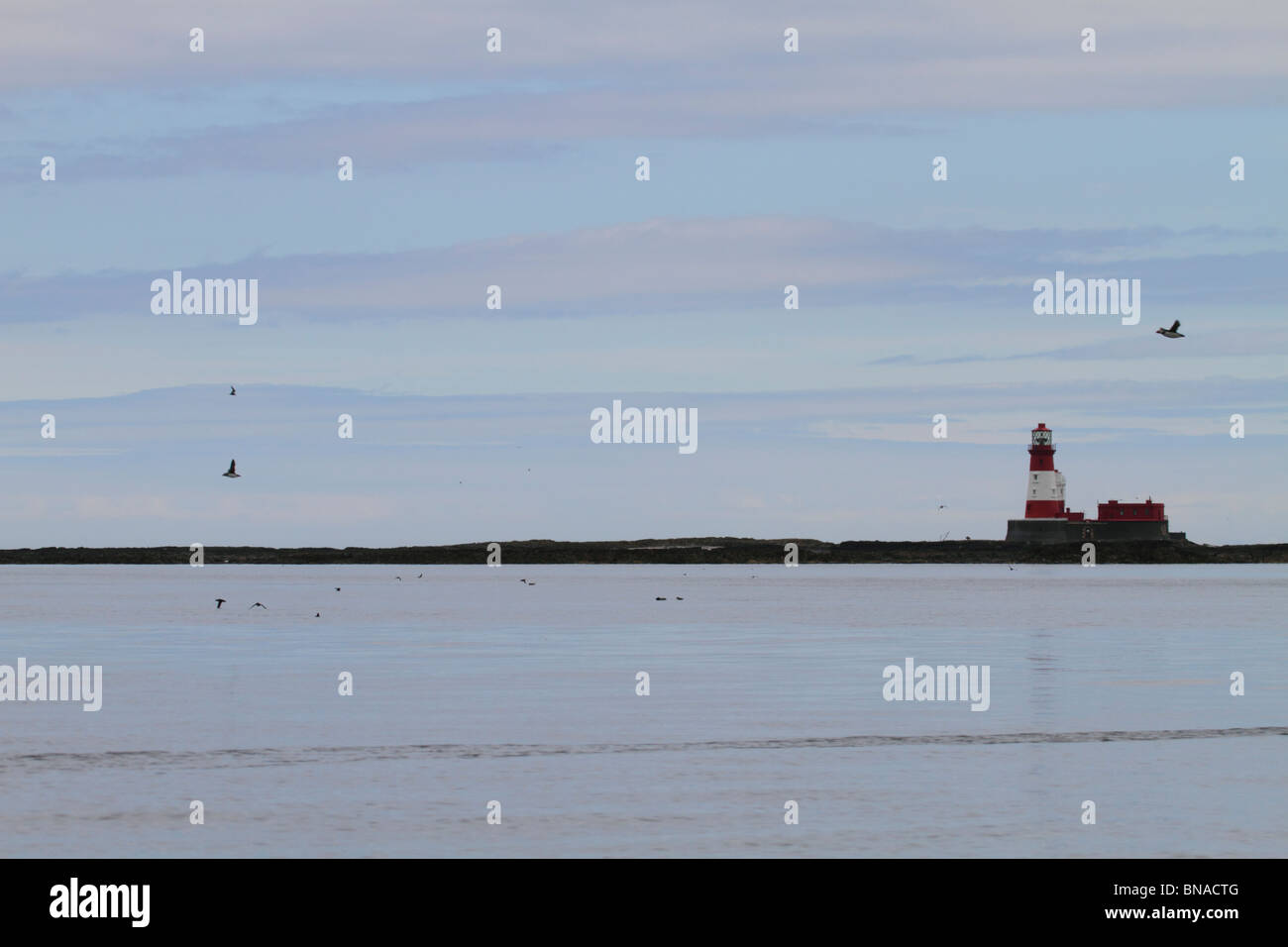 Longstone lighthouse hi-res stock photography and images - Alamy
