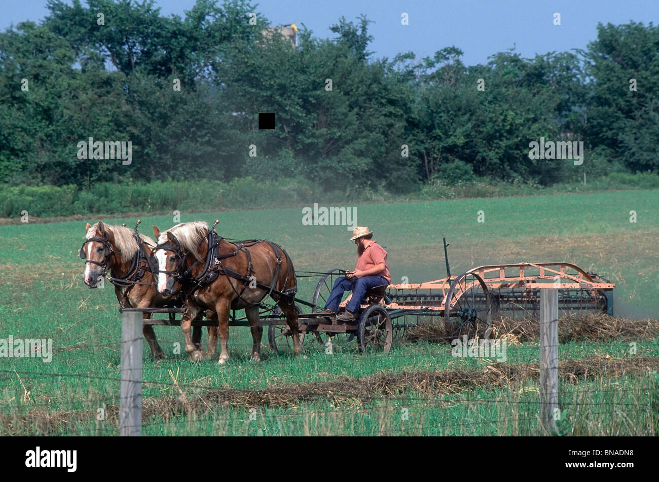 Kentucky and amish hi-res stock photography and images - Alamy