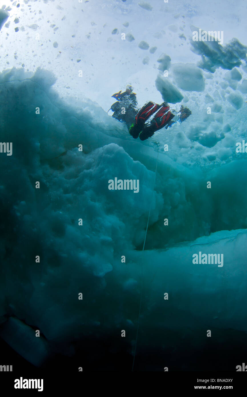 The floe edge nunavut hi-res stock photography and images - Alamy