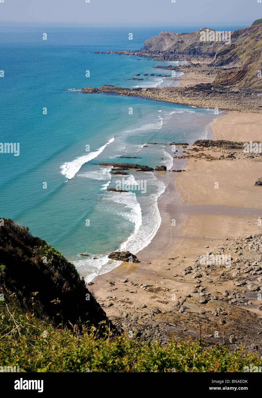 Sharpnose point hi-res stock photography and images - Alamy
