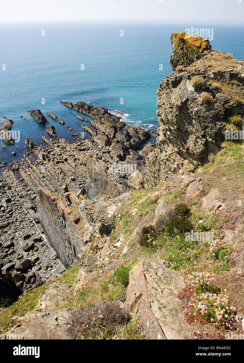 Lower Sharpnose Point with eroded vertical strata pointing out to sea ...