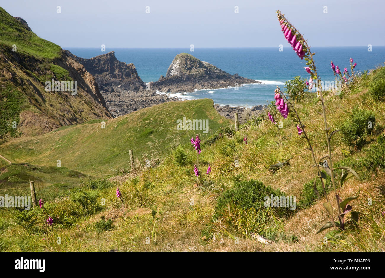 Gull Rock and Marsland mouth on the Devon and Cornwall border on the ...